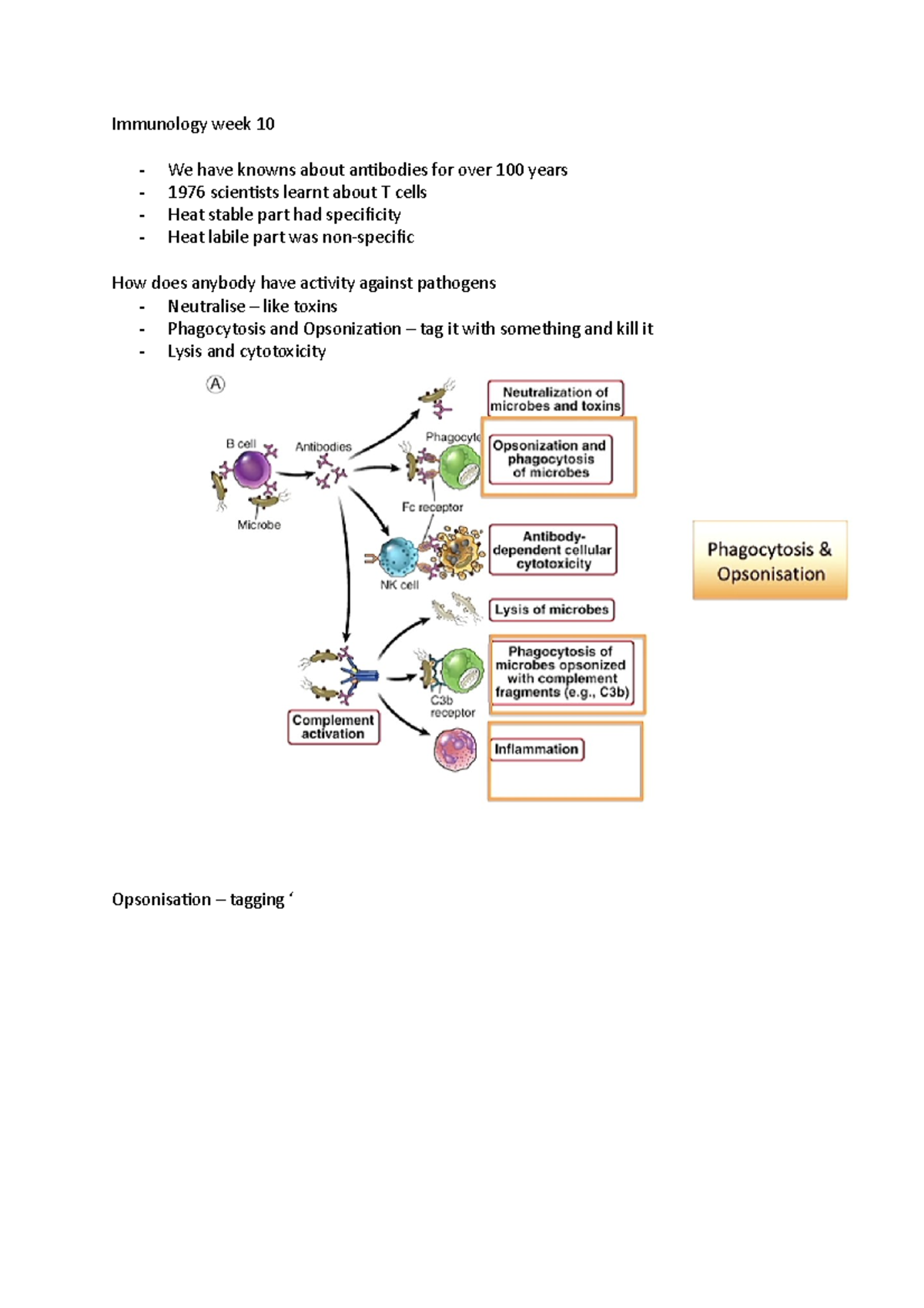 Immunology week 10 - LECTURE NOTES - Immunology week 10 - We have ...