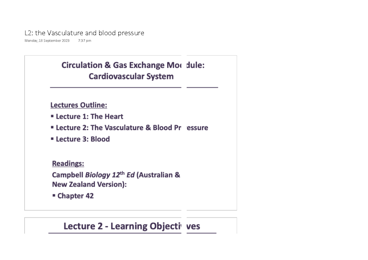 Vasculature system and bp - L2: the Vasculature and blood pressure ...
