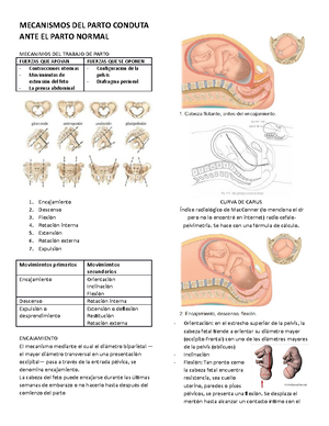 Código Mater y TRIAGE obstétrico Dr Marcelo - CÓDIGO MATER Y TRIAGE ...