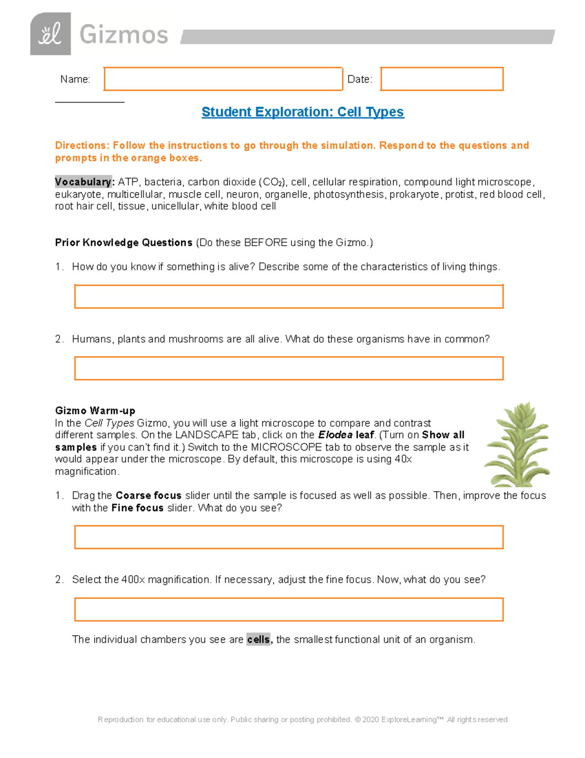 Cell+Types+Gizmos+Worksheet - Name: Date: Student Exploration: Cell ...