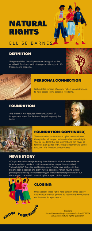 Political Cartoon on Limited Government With Explanation - Political ...