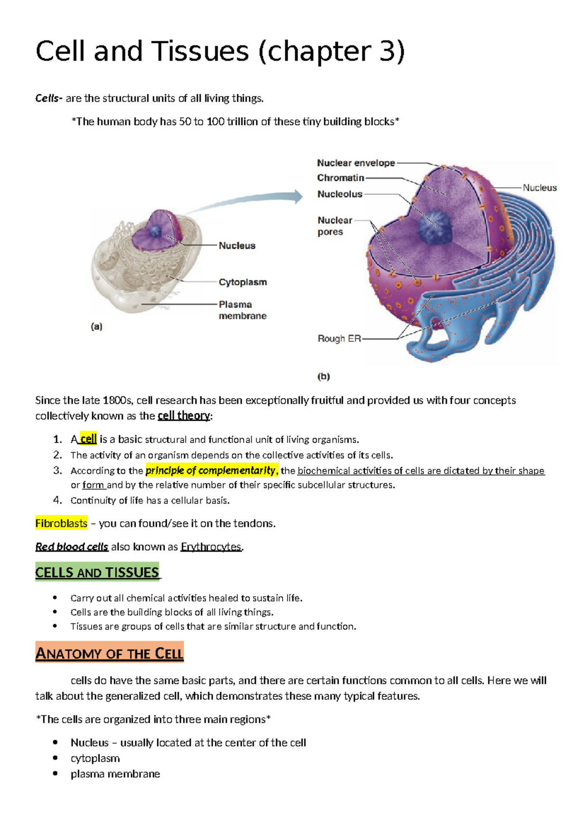 Cell and Tissues - ANATOMY prelim - Cell and Tissues (chapter 3) Cells- are the structural units ...