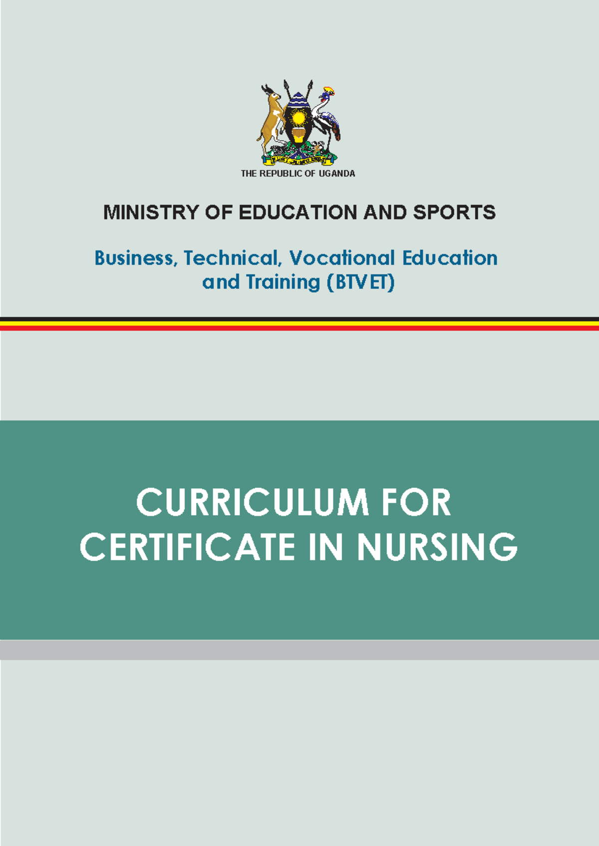 Curriculum for Certificate in Nursing - 80 Business, Technical ...