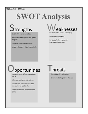 Stephen Robinson VZT Task 1 - Company G 1-Year Marketing Plan Student ...