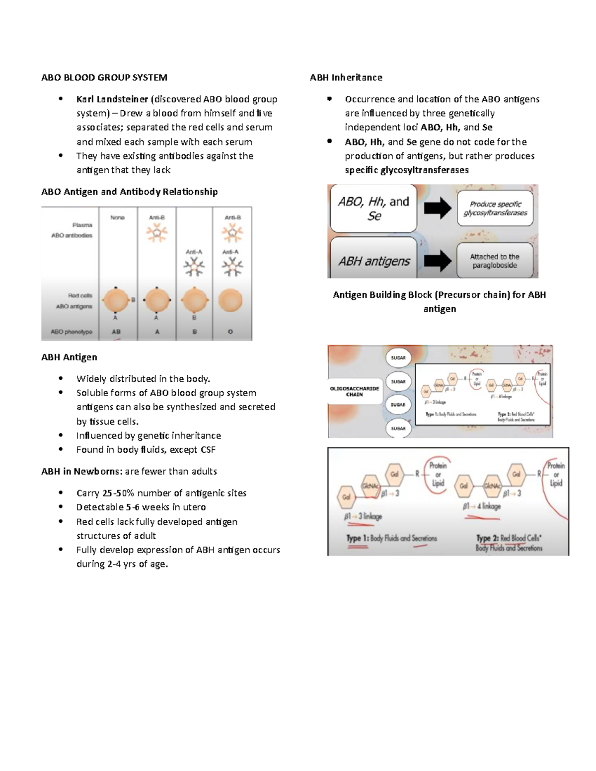ABO Blood Group System Notes - ABO BLOOD GROUP SYSTEM Karl Landsteiner ...