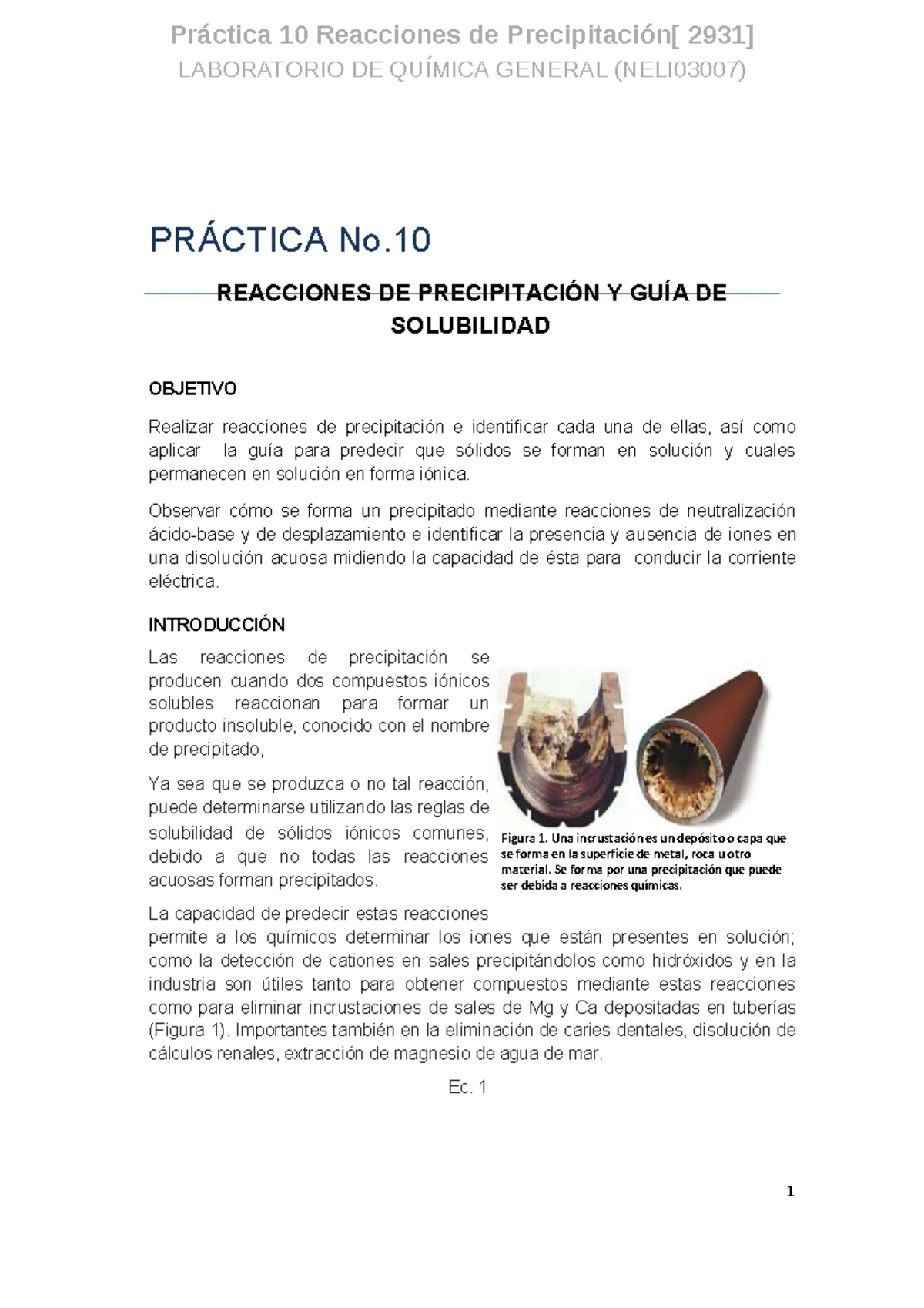 Practica-10-reacciones-de-precipitacion-2931 compress - Práctica 10 Reacciones de Precipitación ...