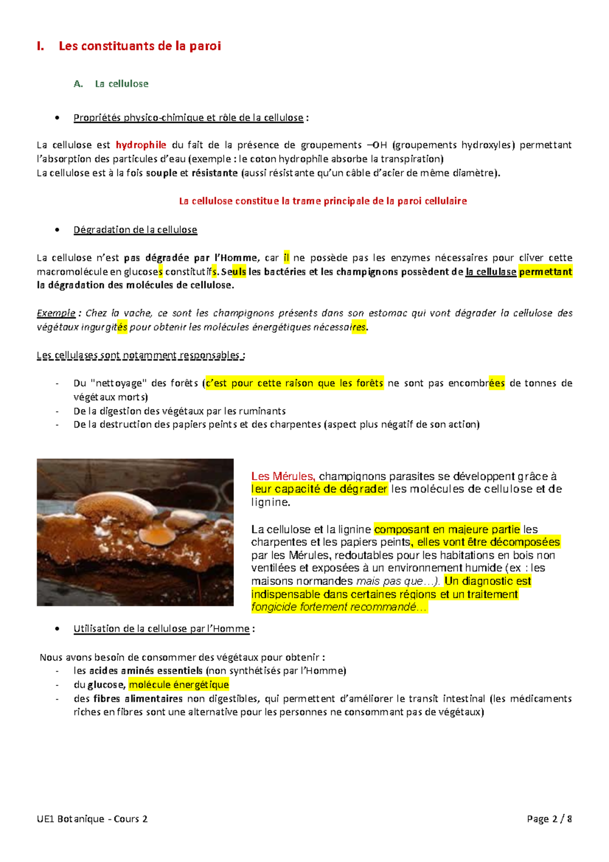 Ue1 B Cours 2 Warning Tt Undefined Function 22 Warning Tt Undefined Function 22 1842