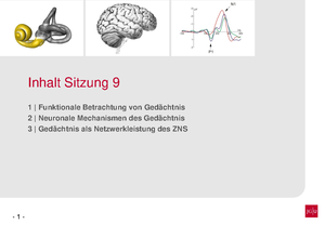 Handout Sitzung 04 - 4: Das visuelle System - Inhalt Sitzung 4 1 | Auge ...