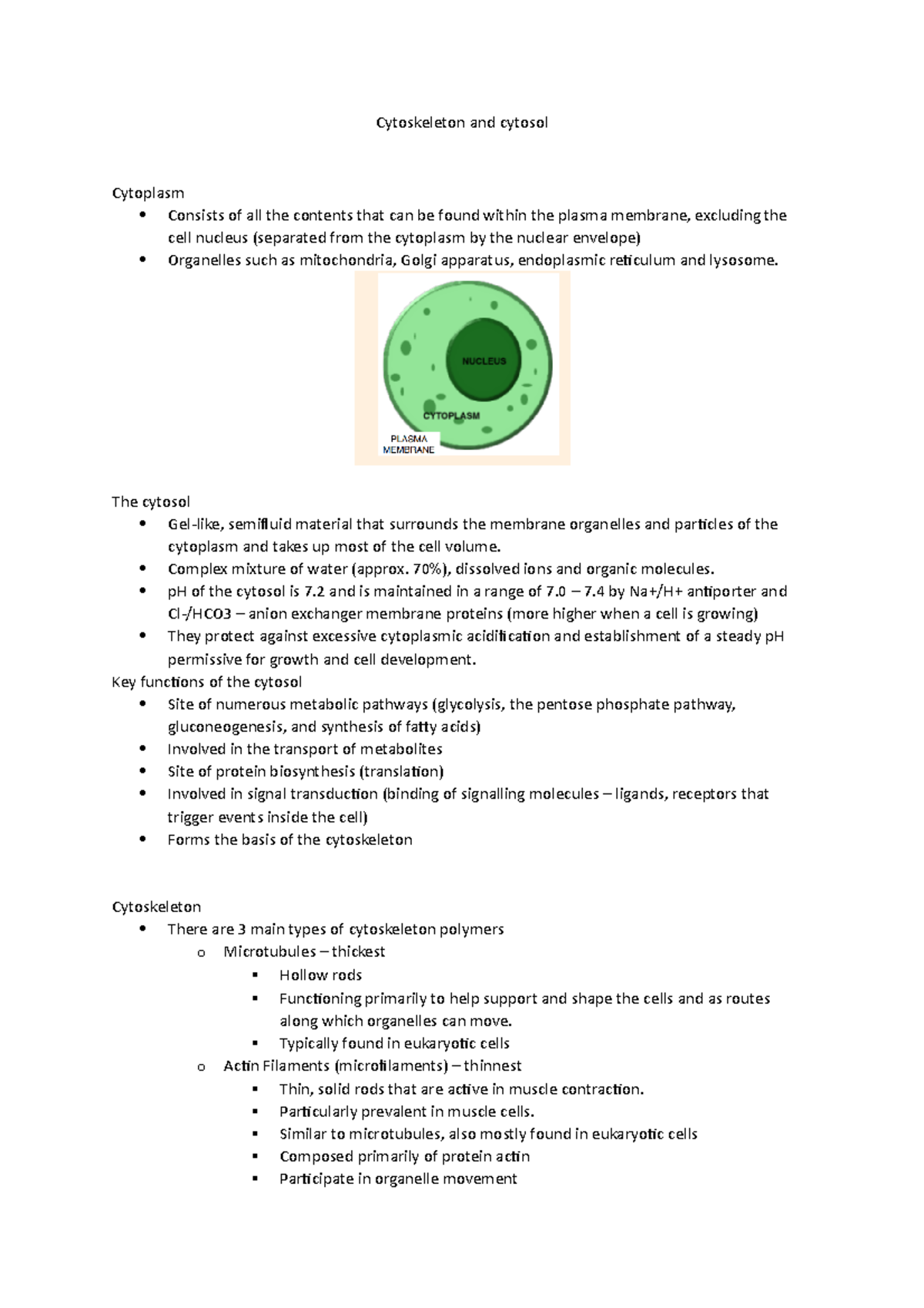 Cytoskeleton - The cytosol Gel-like, semifluid material that surrounds ...