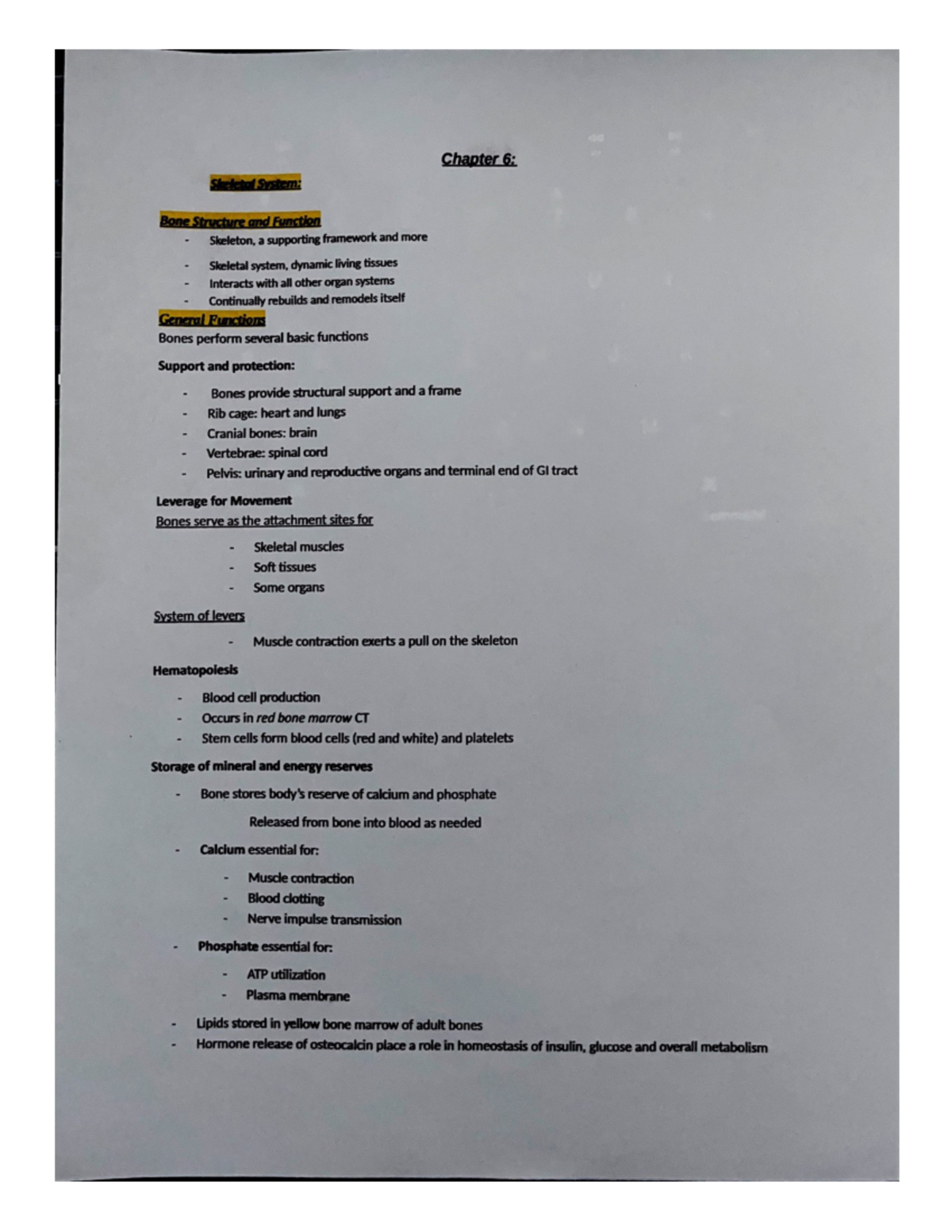 Chapter 6: Bones - BIOL-2401 - Studocu