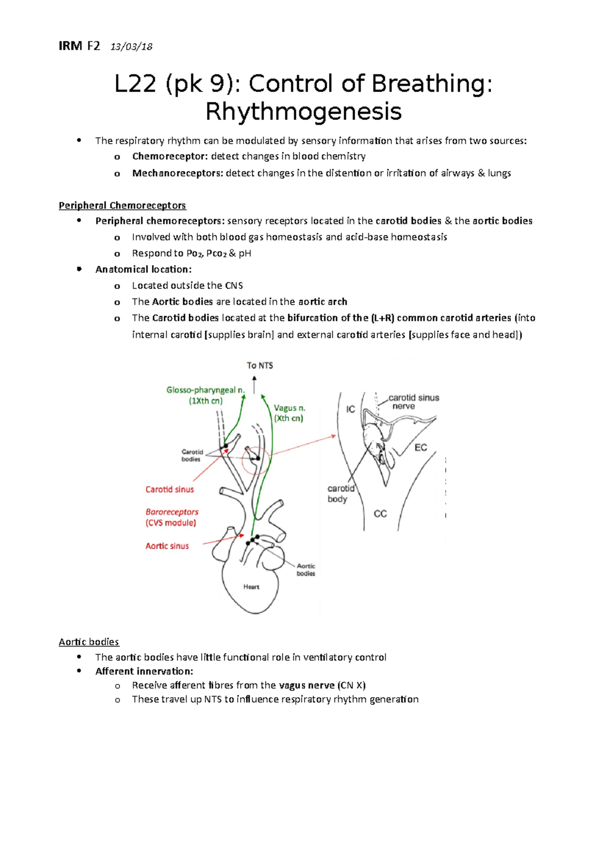 L24 pk 9 Control of Breathing Rhythmogenesis - L22 (pk 9): Control of ...