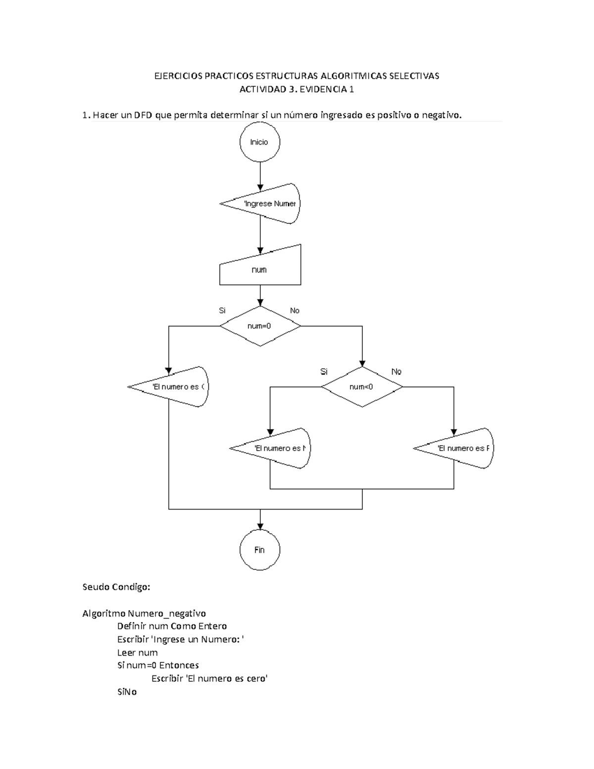 Ejercicios Practicos Estructuras Algortimicas Selectivas - EJERCICIOS PRACTICOS ESTRUCTURAS ...