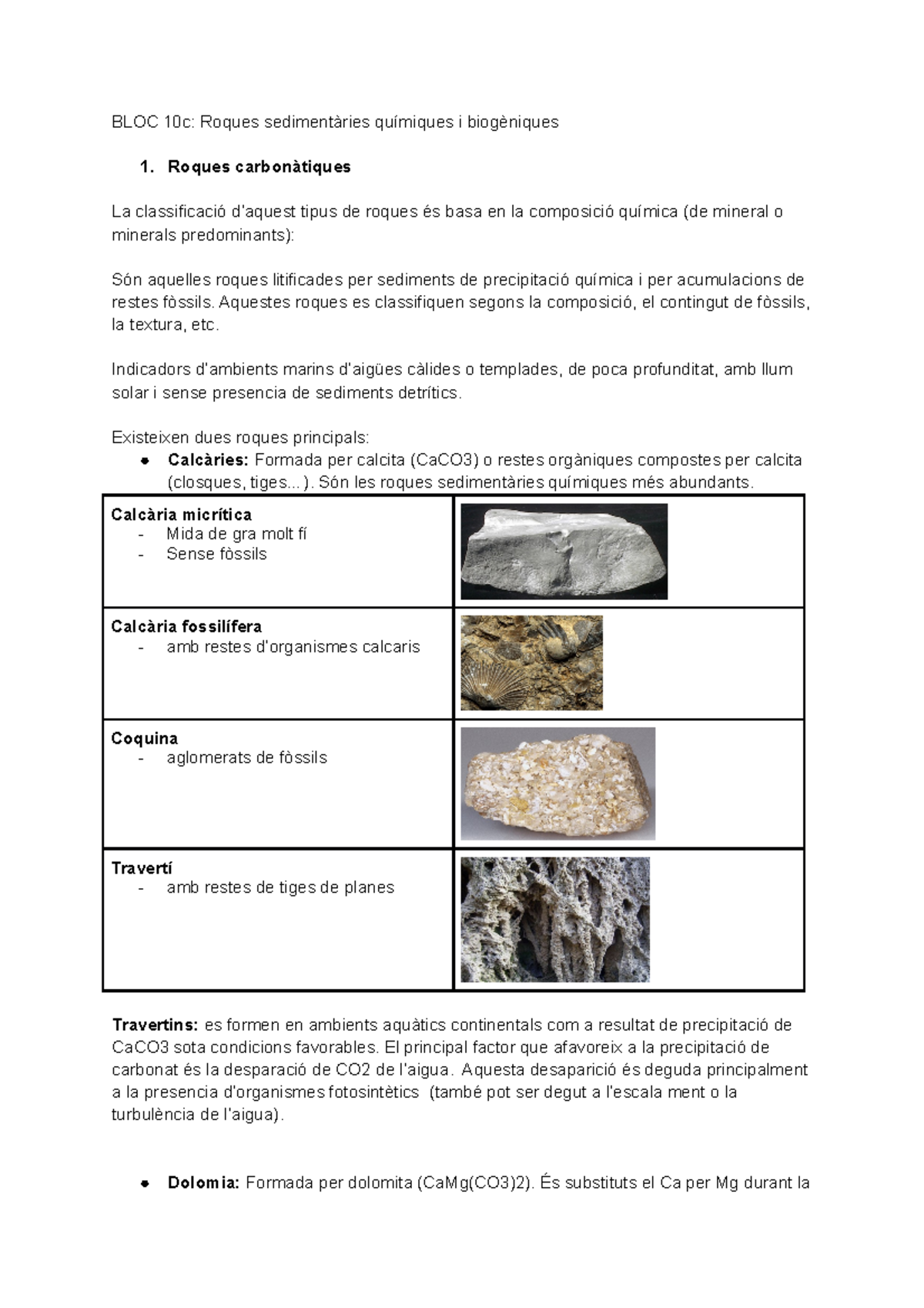 TEMA 10c Tipus de roques sedimentaries - BLOC 10c: Roques sedimentàries ...