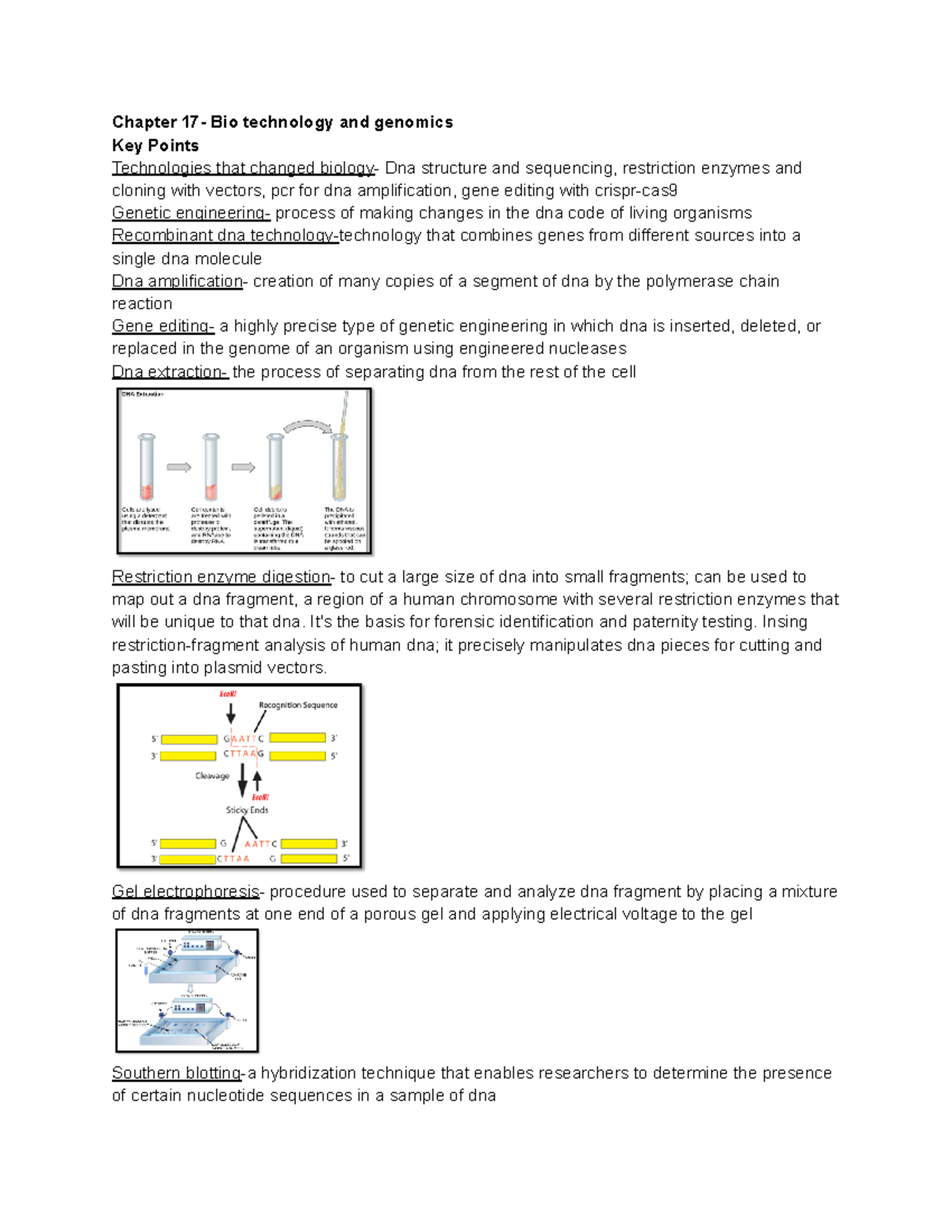 Bio Ch 17 review - overview/summary of the notes from bio 130 chapter ...