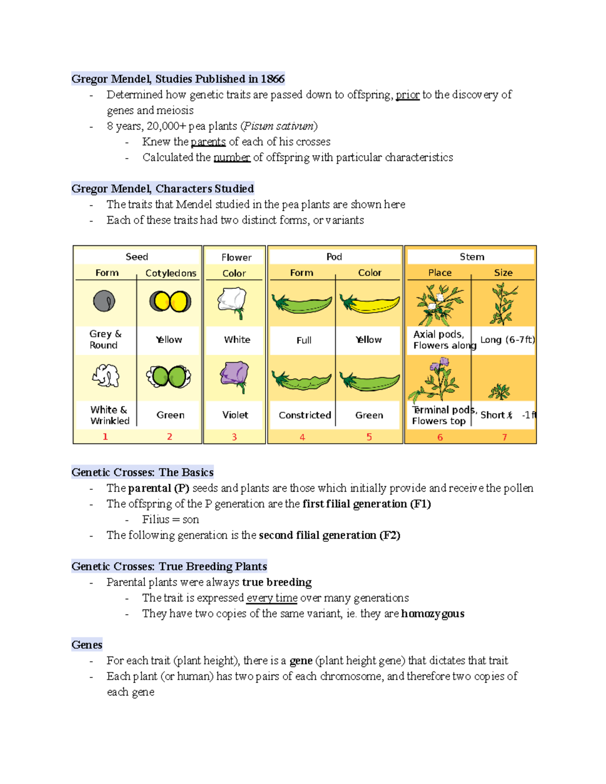 Bio 151, inheritance - Gregor Mendel, Studies Published in 1866 ...
