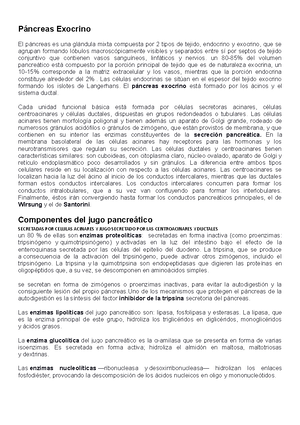 GUIA TEMA 6 - Morfo 2 - Victoria Sanchez - TEMA 6 MUSCULATURA DEL ...