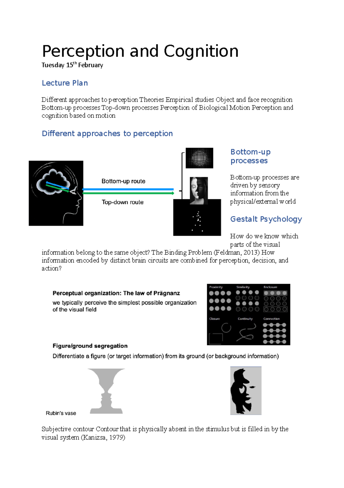 Perception and Cognition - Studocu