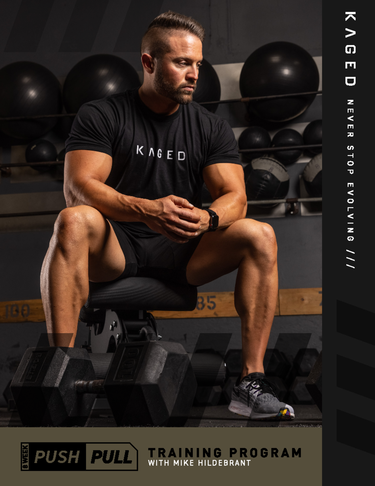 Push-Pull-Program 1 - Provides details info on the Push pull program ...