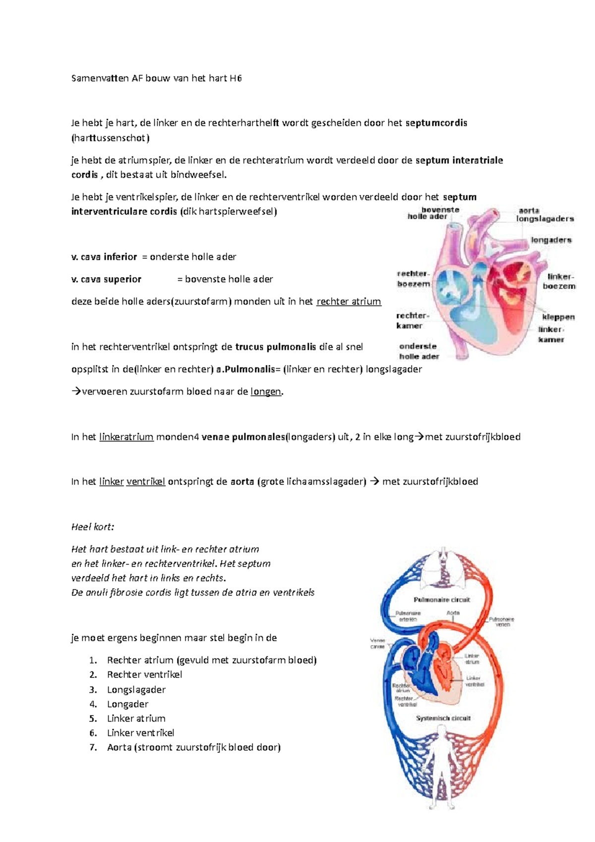 Samenvatting AF bouw van het hart H6 Jaar 1 - Samenvatten AF bouw van ...