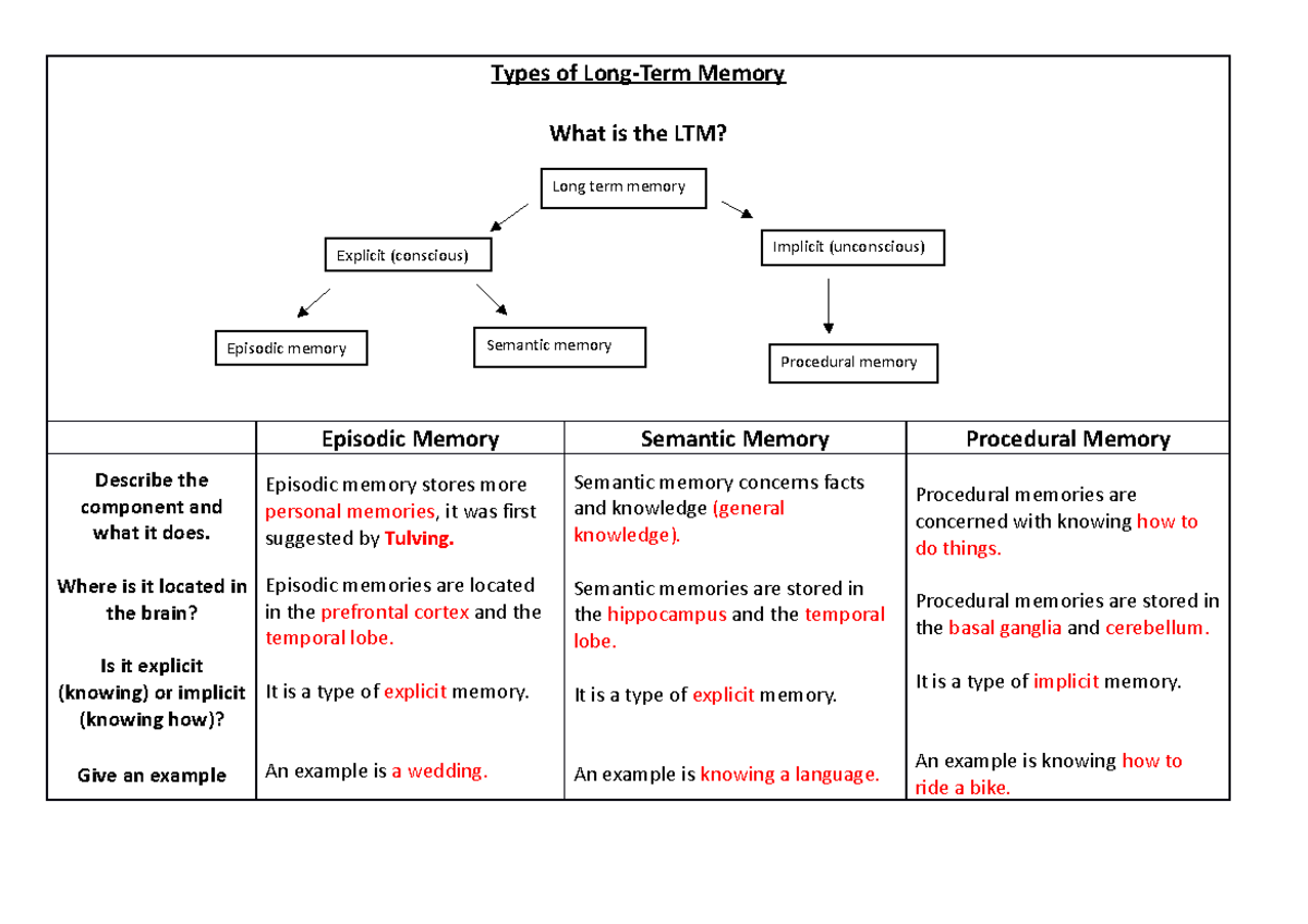Long term memory grid - PY4103 - UEL - Studocu