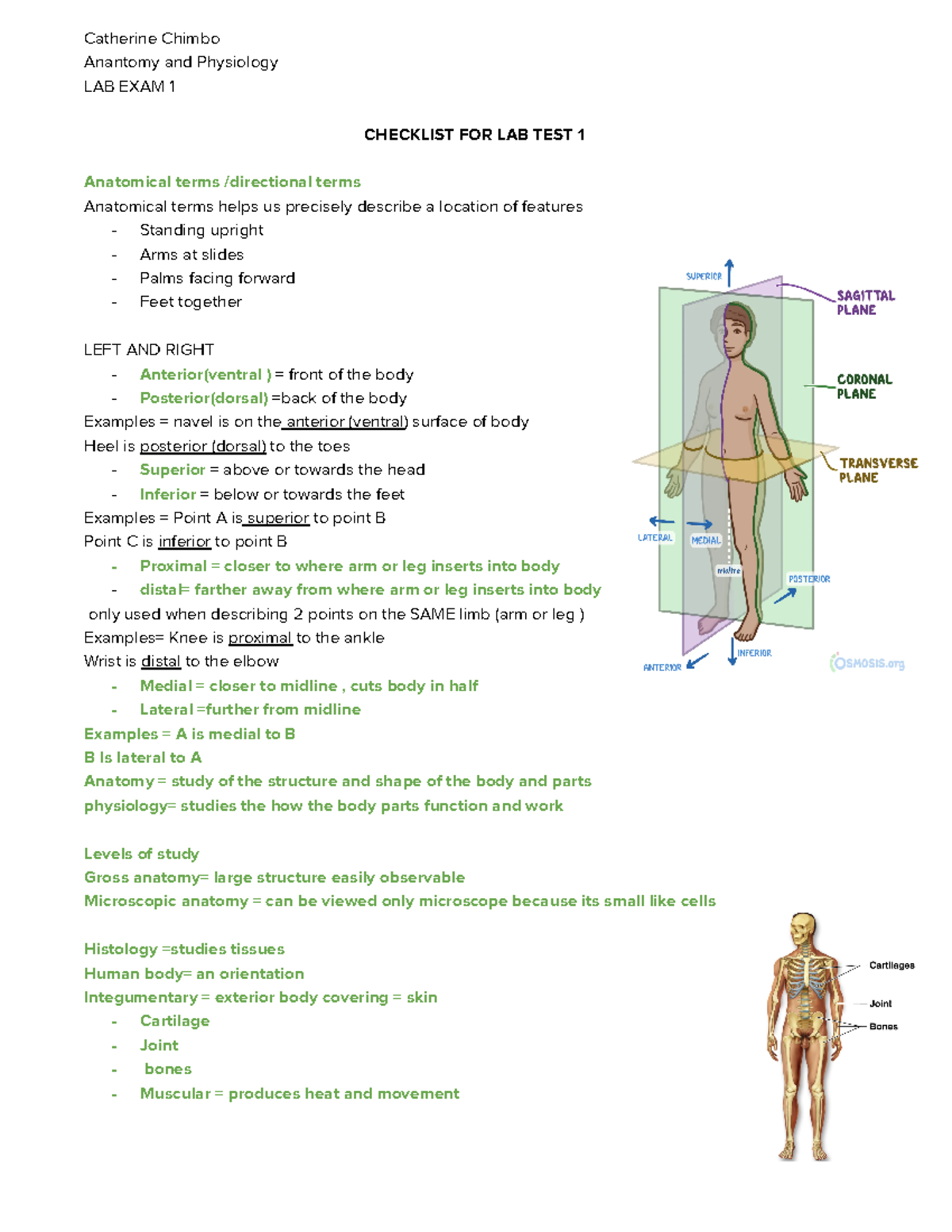 Catherine Chimbo - bio lab exam notes - Catherine Chimbo Anantomy and ...