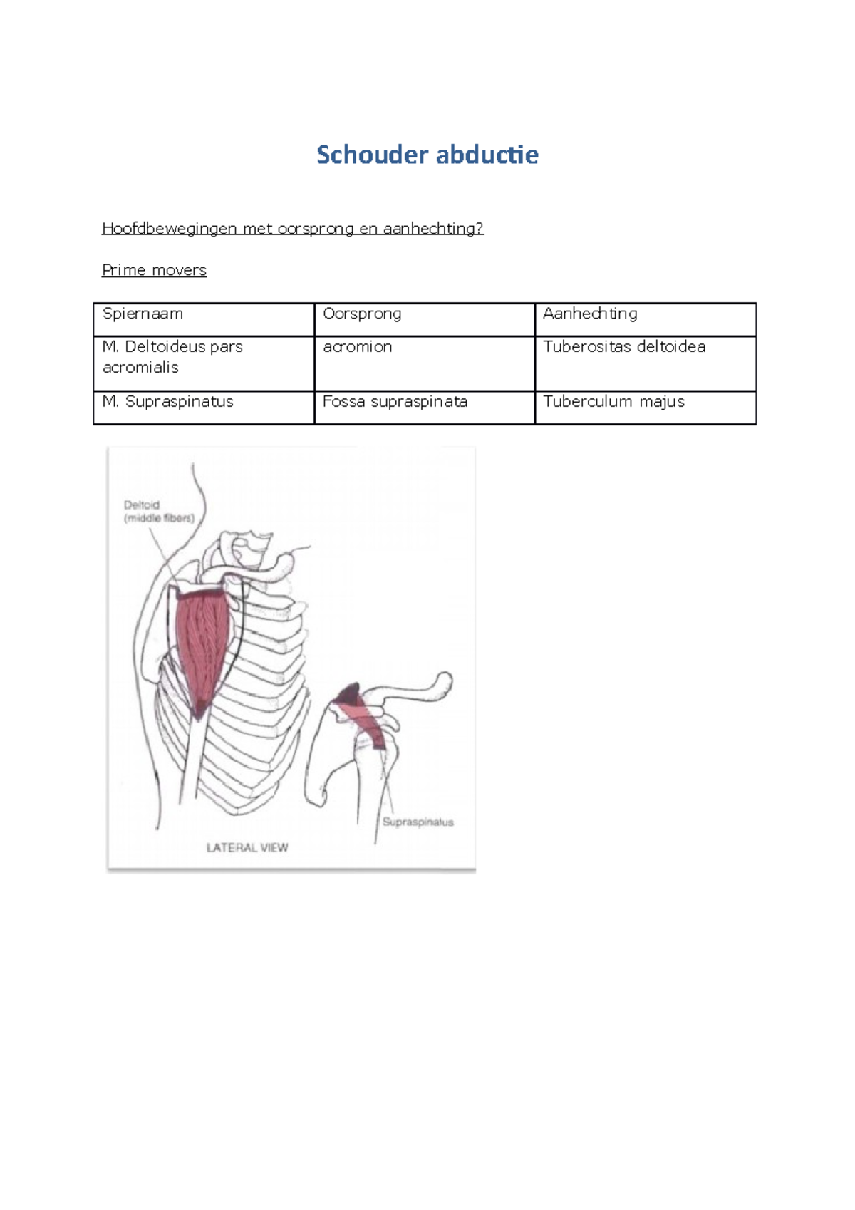 Verplichte opgaven - Taak toegepaste anatomie -schouder abductie en ...