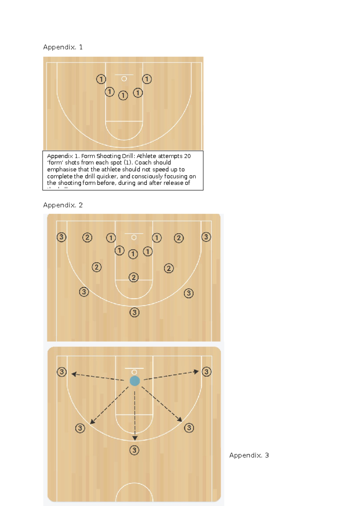 Basketball Appendices - Appendix. 1 Appendix. 2 Appendix. 3 Appendix 1 ...