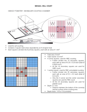 Whole-CELL- Activity - Anaphy - WHOLE-CELL ACTIVITY GENE EXPRESSION ...
