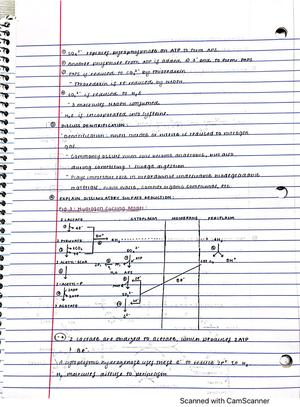 MICR4054 Assimilation and Dissimilation - MICR 4054 - Studocu