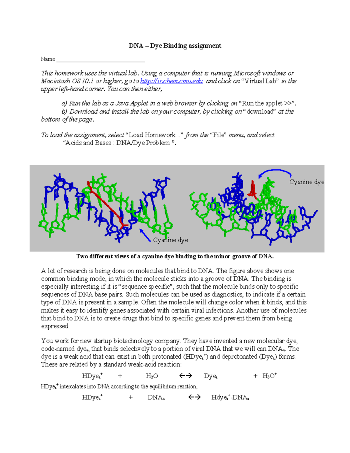 Dna Dye Assign - DNA Dye - DNA – Dye Binding assignment Name