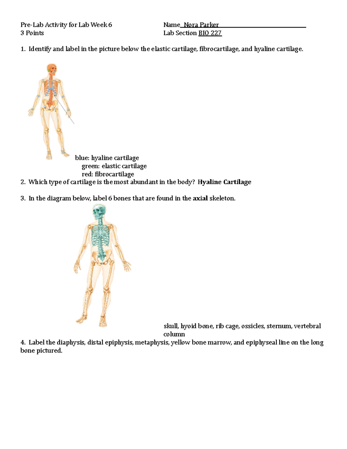 B-227Lab6 Pre Lab Activity Koob21 Nora Parker - BIOL 227 - BSU - Studocu