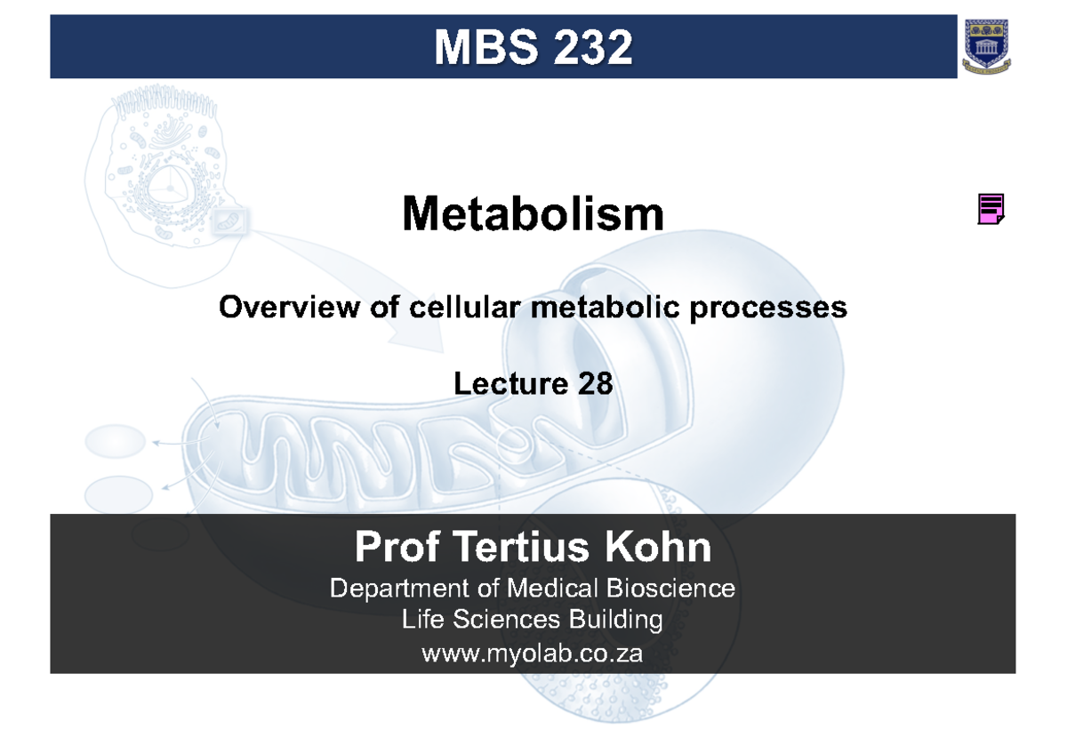 28 - Metabolism - MBS 232 Metabolism Overview of cellular metabolic ...
