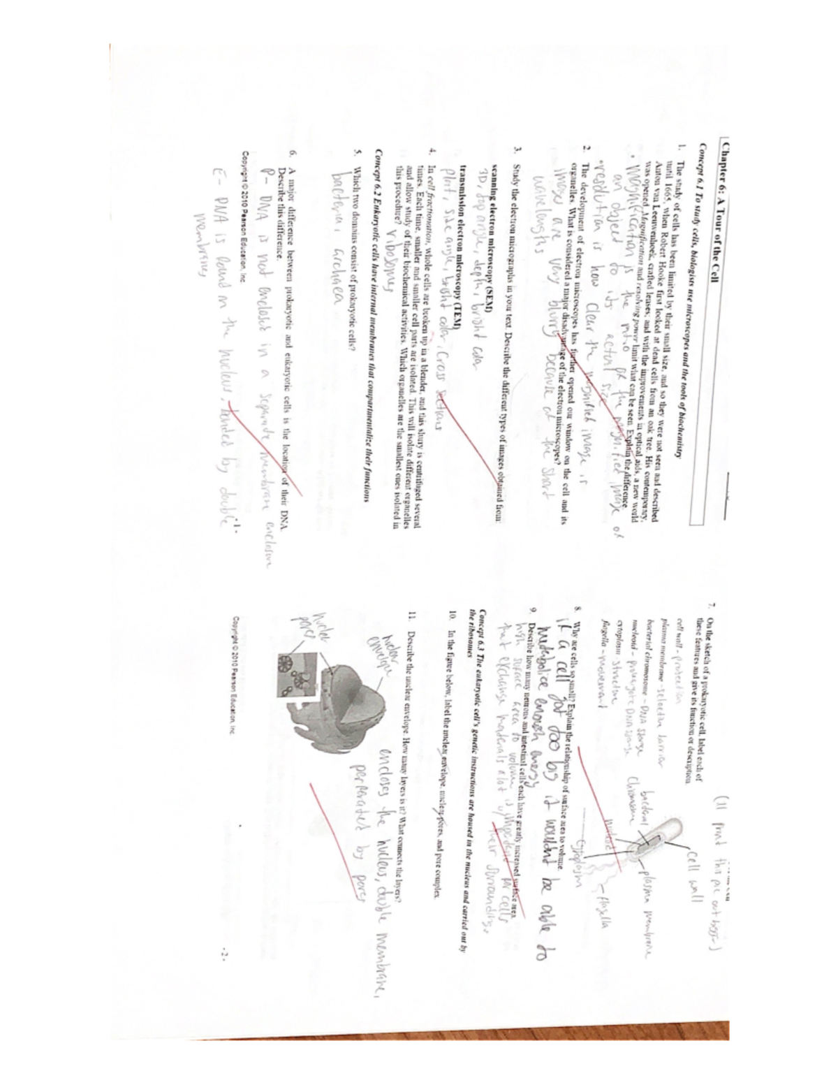 Chapter 6: Tour of the Cell - Bio 1404 - Studocu