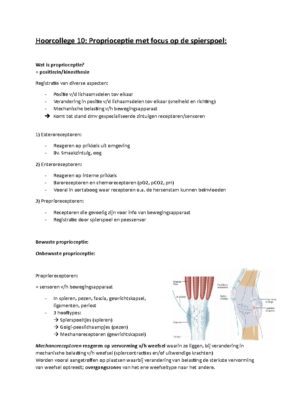 HC 10 Proprioceptie met focus op de spierspoel - Smaakzintuig, oog 2 ...