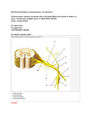 Neuro anatomie samenvatting - Indeling van het zenuwstelsel Indeling ...
