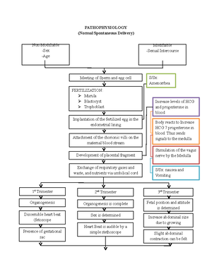 Churg Strauss Syndrome CASE Study 3A - ACKNOWLEDGEMENT The study has ...