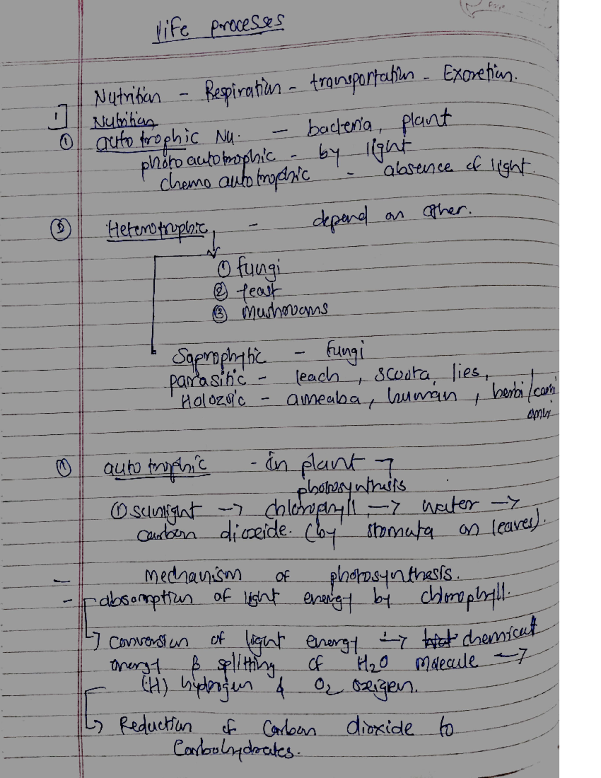 Life processes - Handwritten notes - ,_,/ 1- r