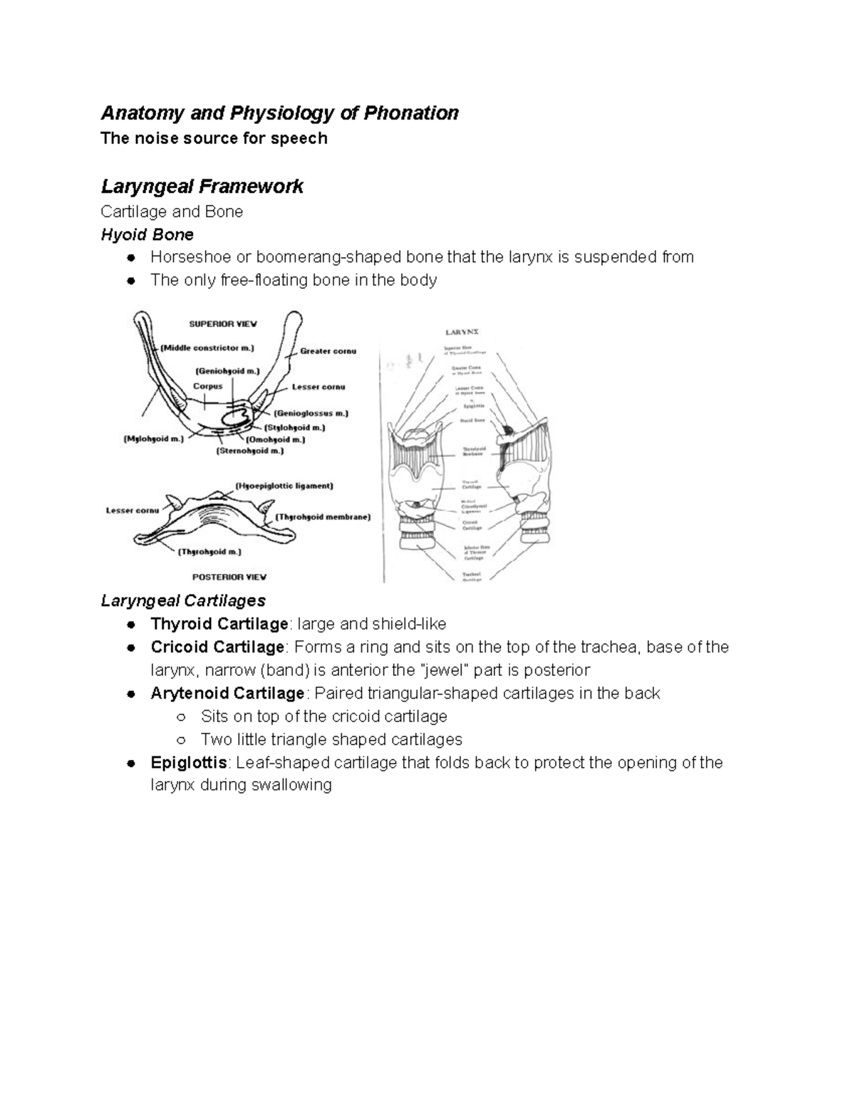 A&P of Phonation-3 - anatomy and physiology of phonation, ryalls ...