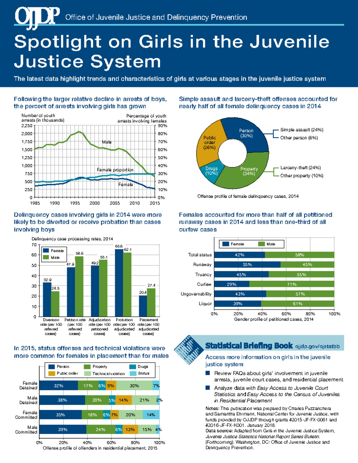 Spotlight on Girls in the Juvenile Justice System - Spotlight on Girls ...