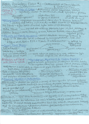 Biochem Study Guide 4 - review of lipids, photosynthesis, and nitrogen ...