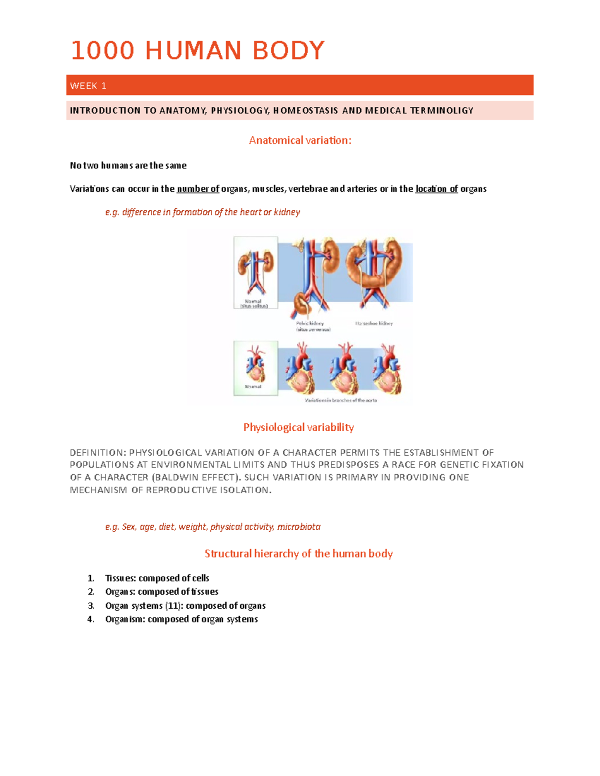 Introduction to Anatomy Physiology Homeostasis and Medical Terminology ...