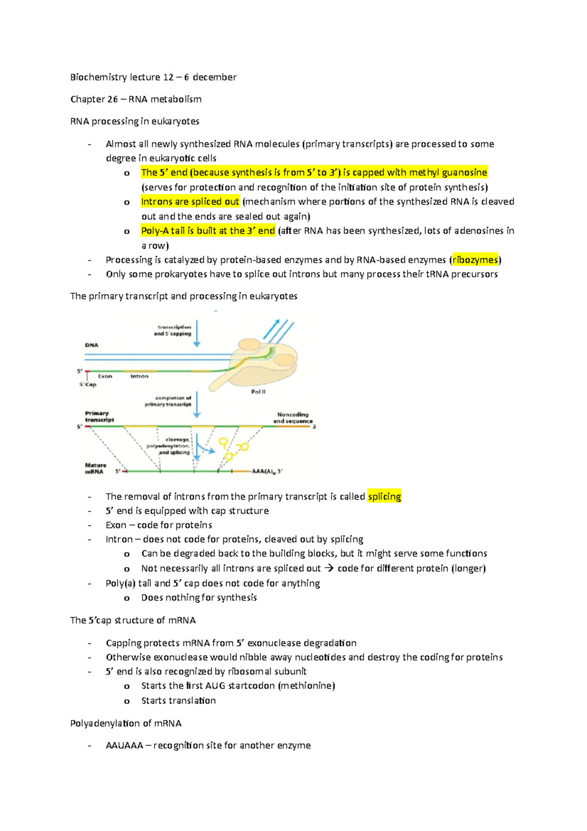 Biochemistry lecture 12 - Studeersnel