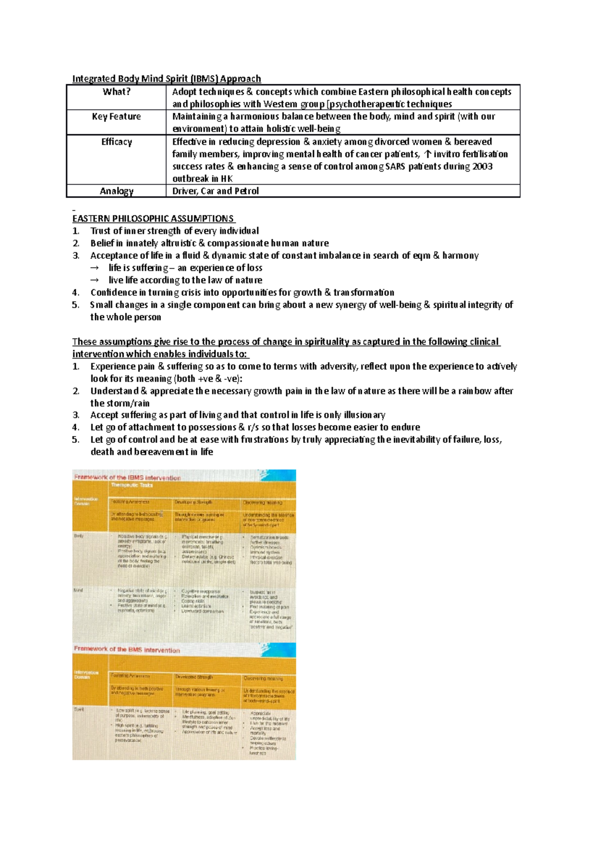IBMS - individual body mind - Integrated Body Mind Spirit (IBMS ...