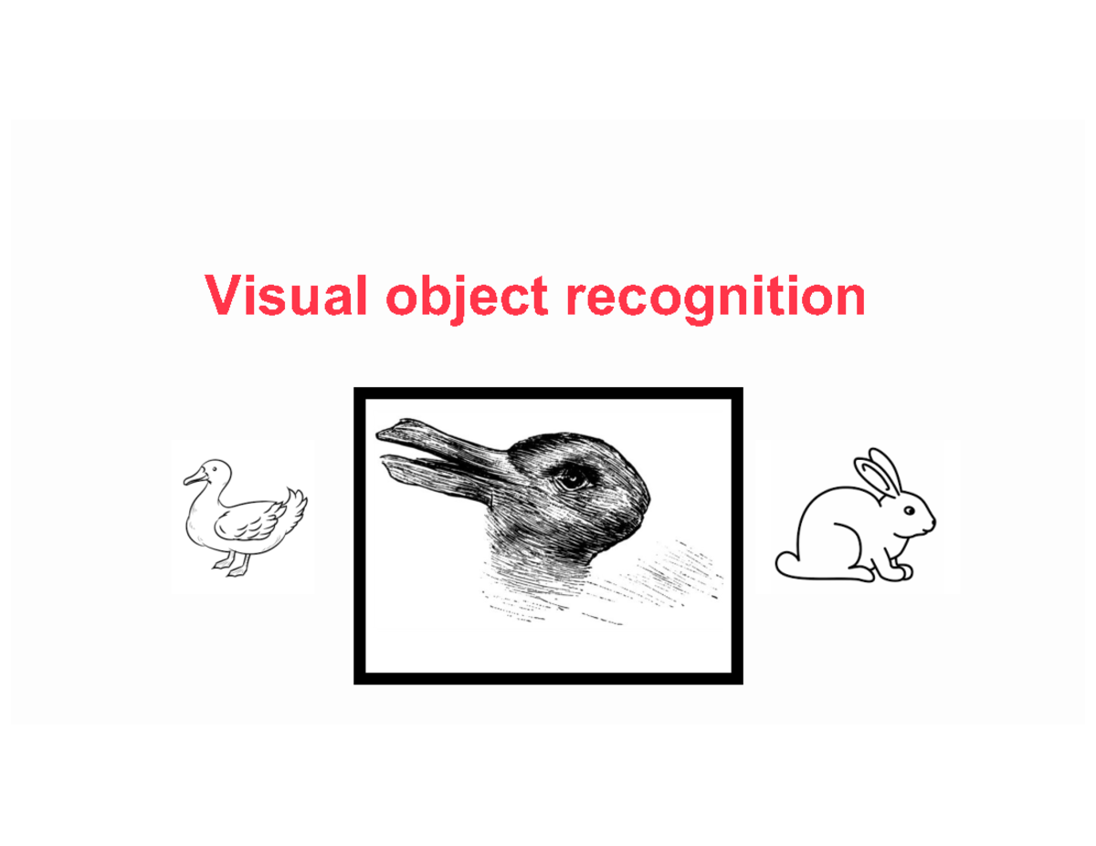 11 Objectrecognition Lecture Notes Visual Object Recognition Fast