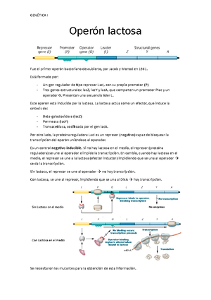 Quimiotaxis bacteriana - Taxias bacterianas Movimiento de un organismo ...