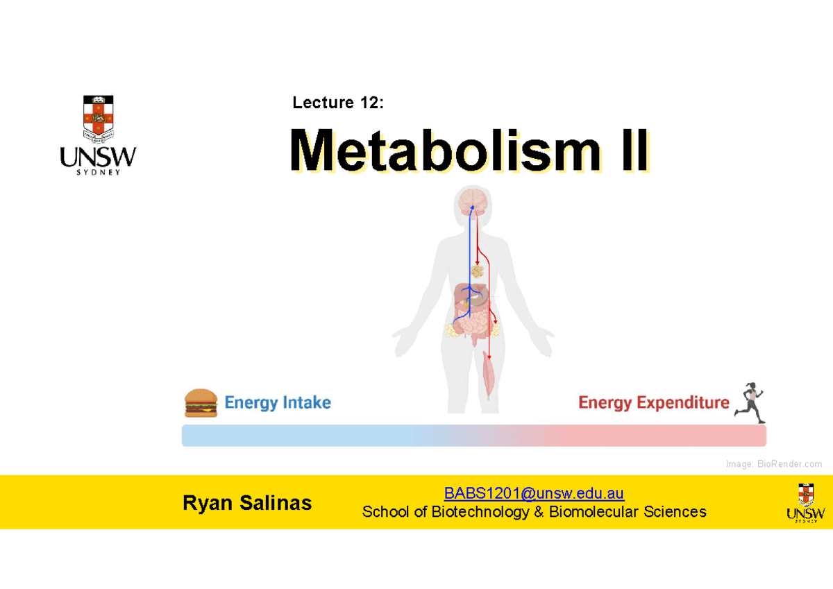 BABS1201 - Metabolism II - Metabolism IIMetabolism II Lecture 12 ...