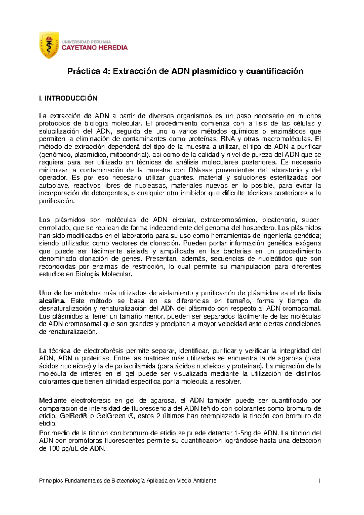 Práctica 4 Extraccion de ADN Plasmídico PGBe MA - Práctica 4 : Extracción de ADN plasmídico y ...