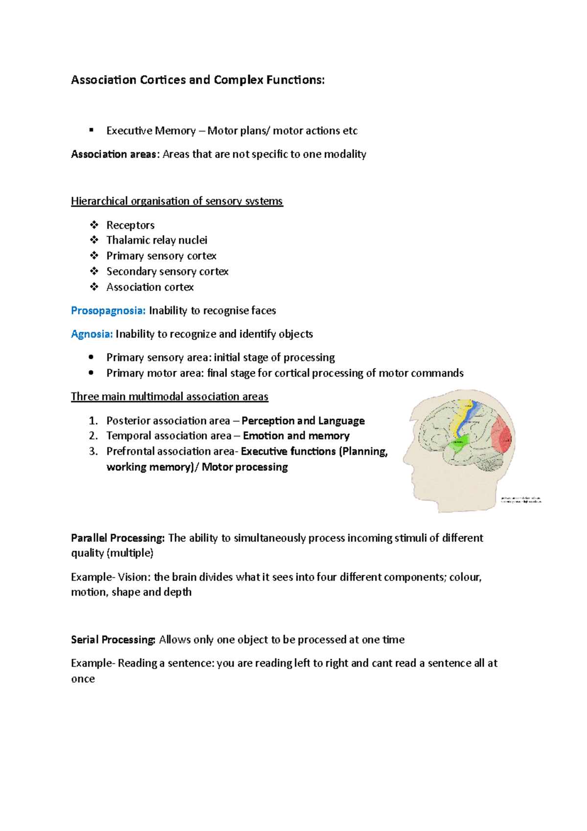 The association Cortices and Complex Brain Functions - Association ...
