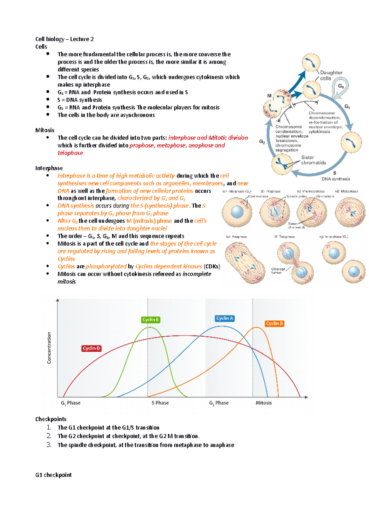 Cell biology – Lecture 2 - Cell biology – Lecture 2 Cells The more ...
