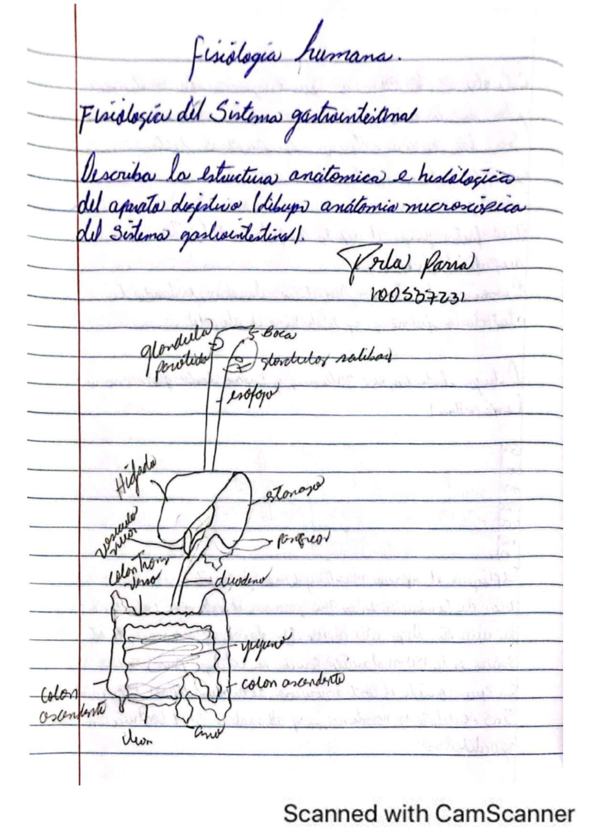 Gia GI Perla Parra 100537231 - Fisiología Humana I - Studocu